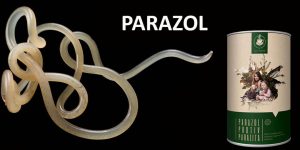 Parazol čaj cena, iskustva, da li je parazol prevara ili ne? Upotreba ...